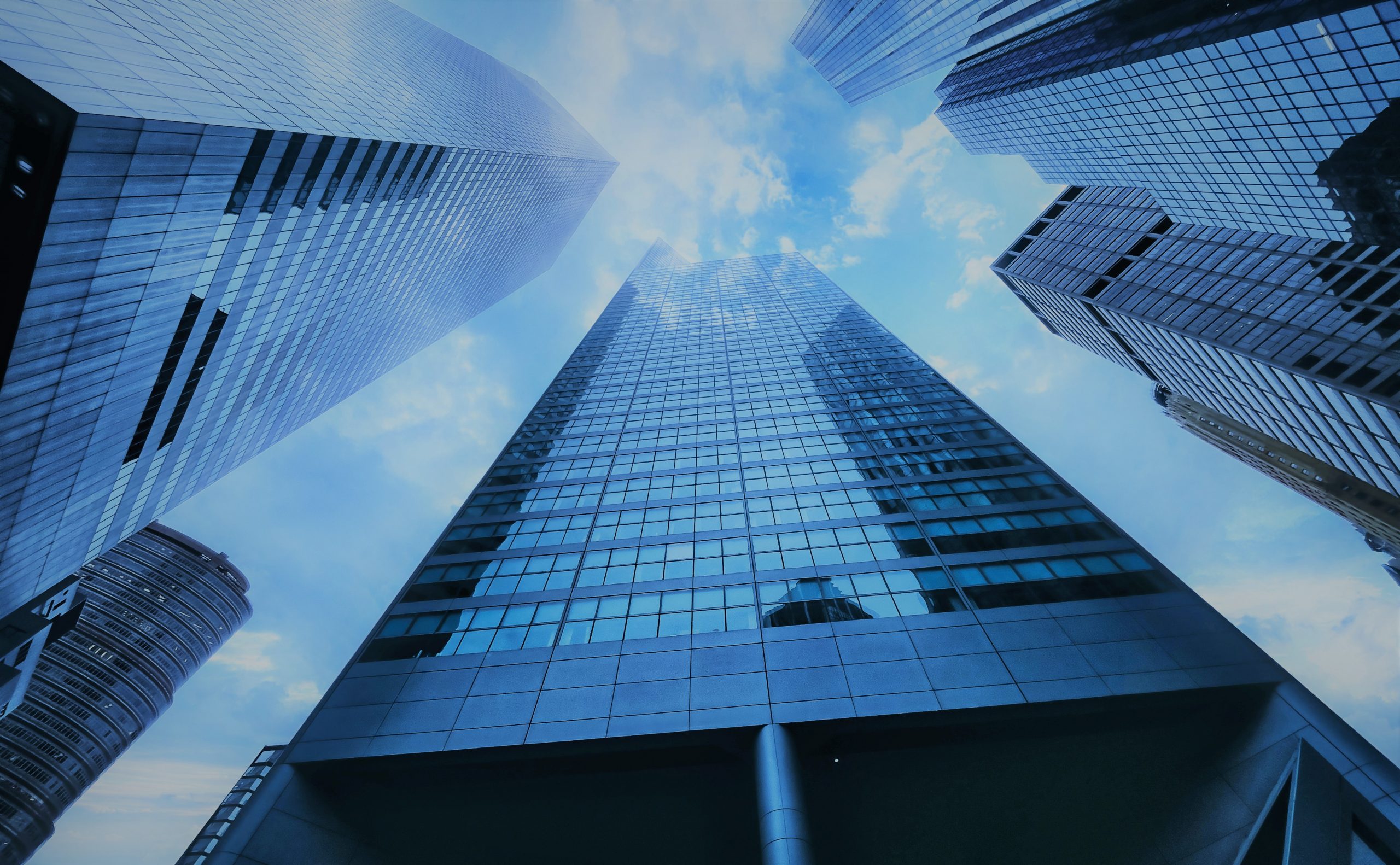 How AI Can Help Identify Front and Shell Companies - BlackSwan Technologies